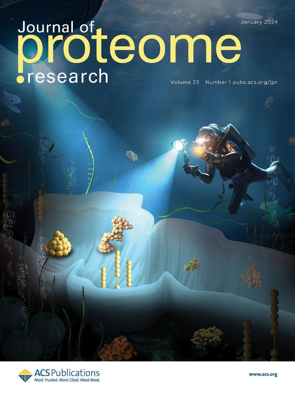 生医系刘晶晶副教授在Journal of Proteome Research发表封面文章